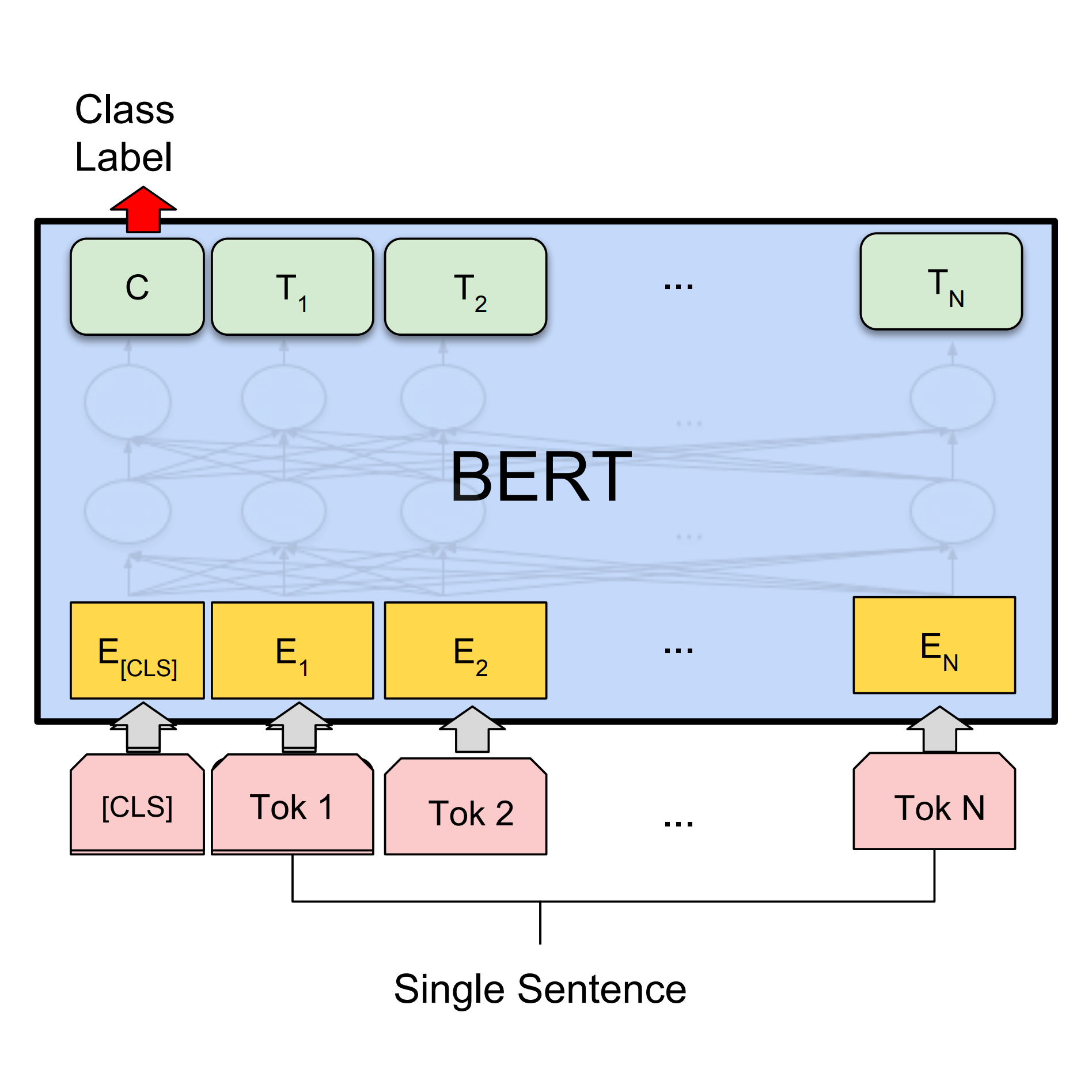 TensorFlow Hub TensorFlow Hub
